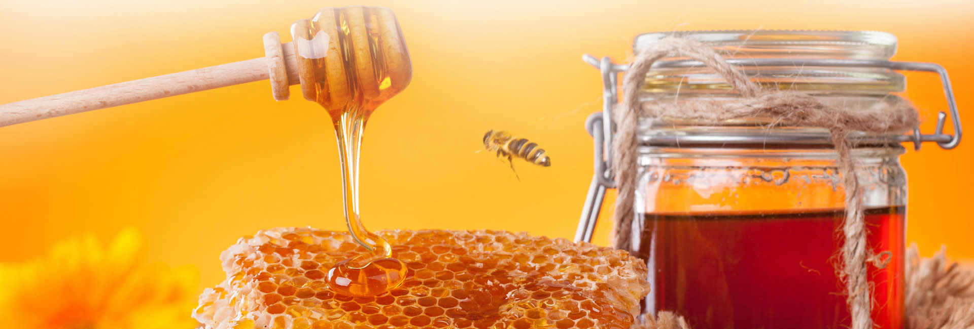 Al Hana & Al Saad Food Stuff Trading LLC